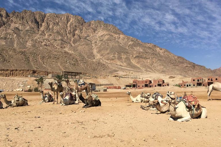 10 reasons to visit Dahab, Egypt • FlipFlopGlobetrotters.com